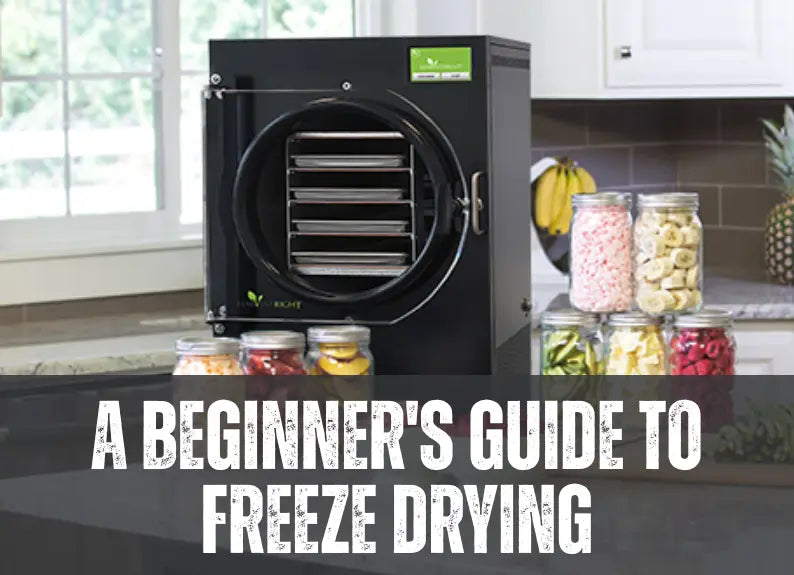 Freeze Drying for Beginners 101 – Canadian Preparedness